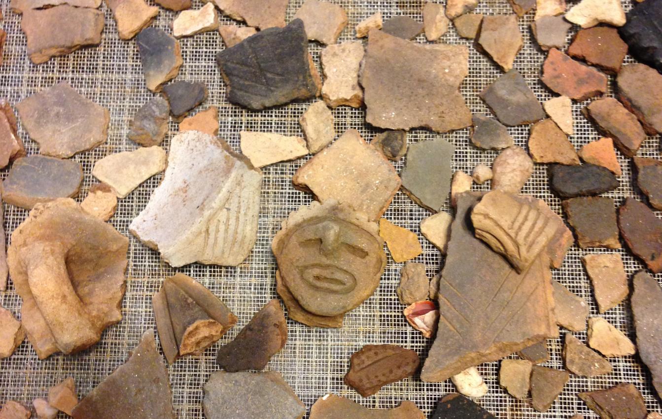 Mississippian Settlement Archaeology Field School | UGA Archaeology